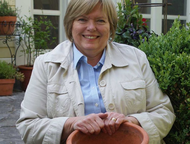 Container gardening: How to plant a container